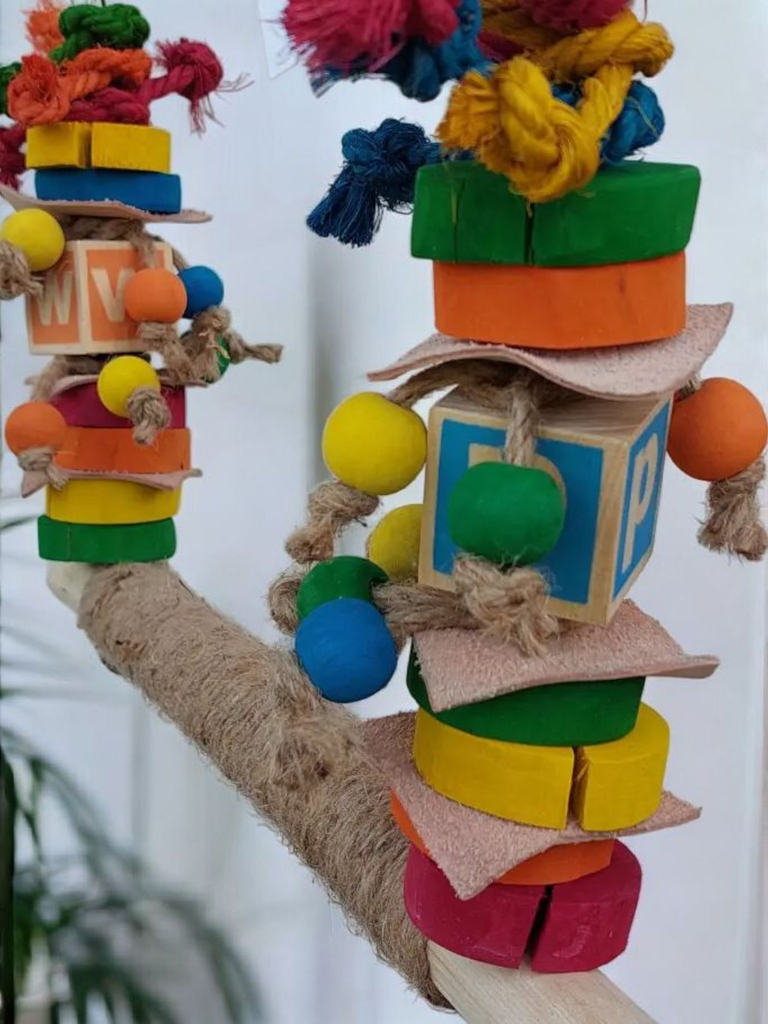 JAVA SWING | Fun4Parrots